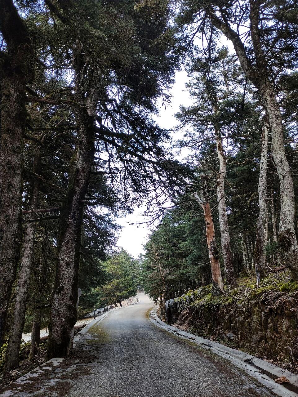 Cosa fare a Cefalonia: 10 esperienze da non perdere - Girando per il Mondo